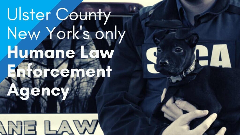 Humane Law – Ulster County SPCA