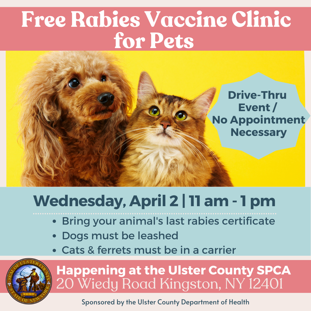 Rabies Prevention