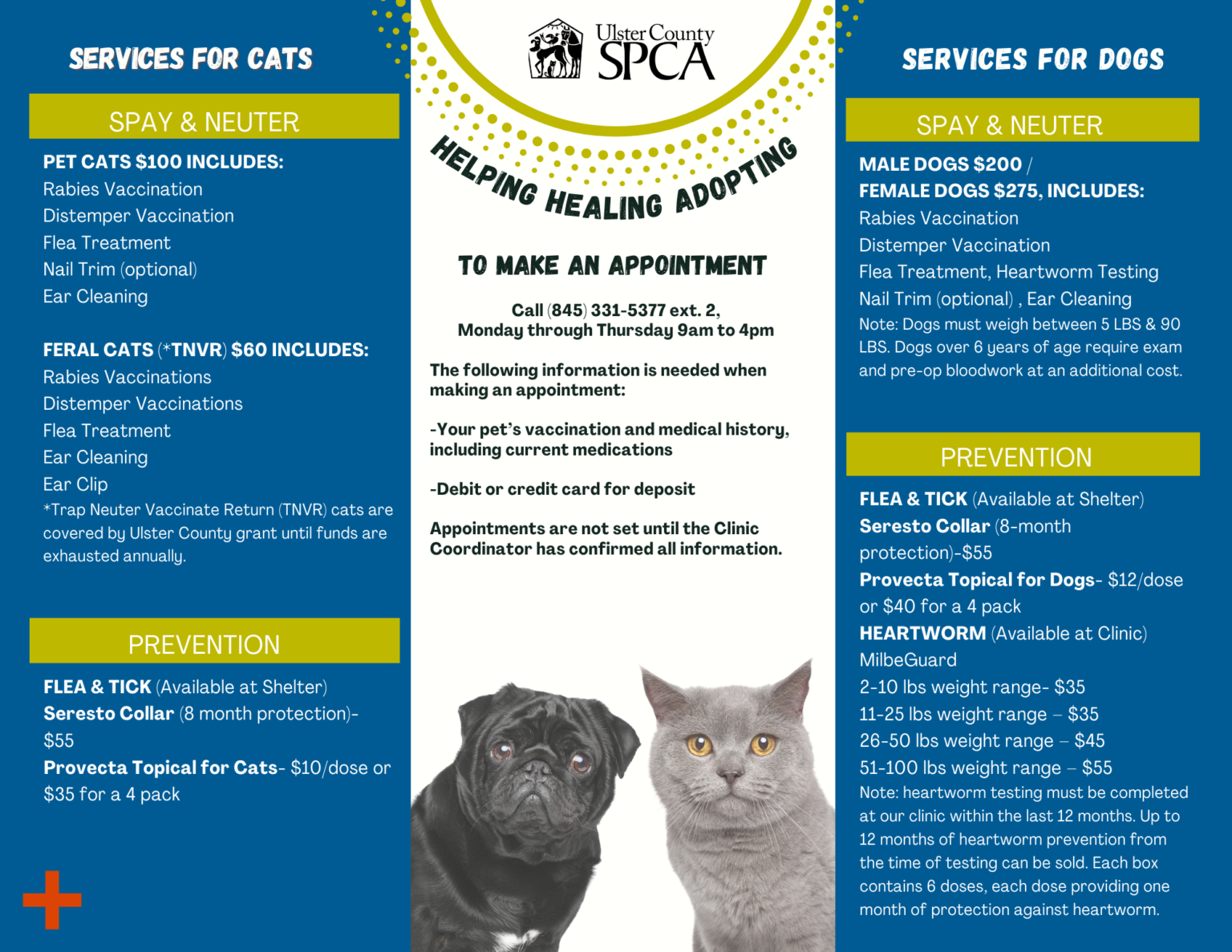 Spay/Neuter Clinic – Ulster County SPCA